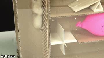 Hamster escaped! - Imgflip