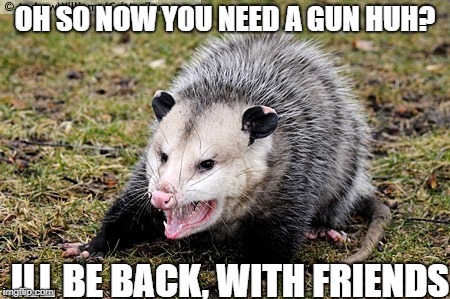 Hamster Weekend July 6-8, a bachmemeguy2, 1forpeace & Shen_Hiroku ...