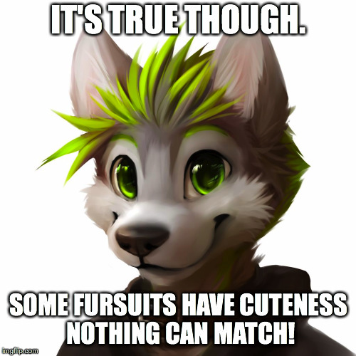 Furry - Imgflip