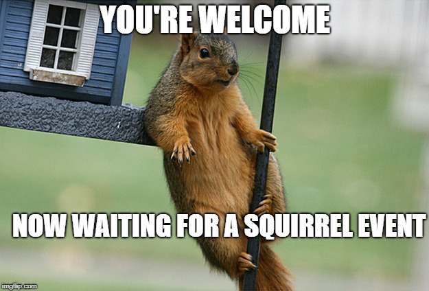 It's So Great!!! - Imgflip