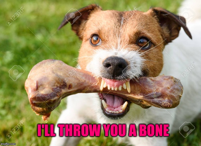 Dog Bone Memes Dog Bone GIFs | Tenor