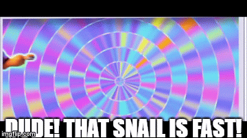 Dude that snail is fast! - Imgflip