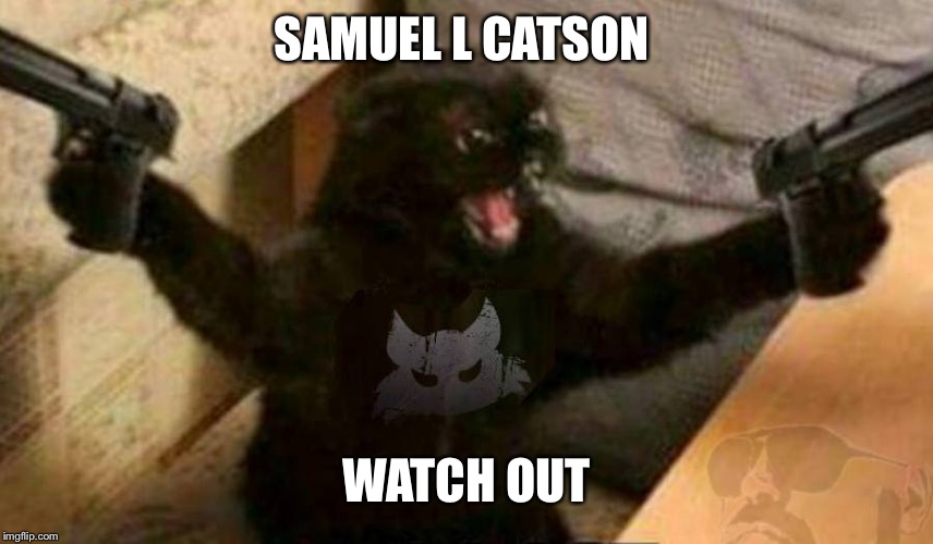 Cat With Guns - Imgflip