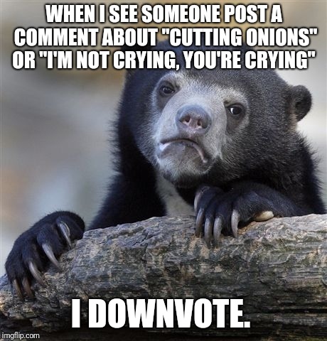 Confession Bear Meme - Imgflip