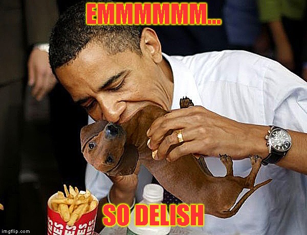 That baby pic would explain a lot - Imgflip