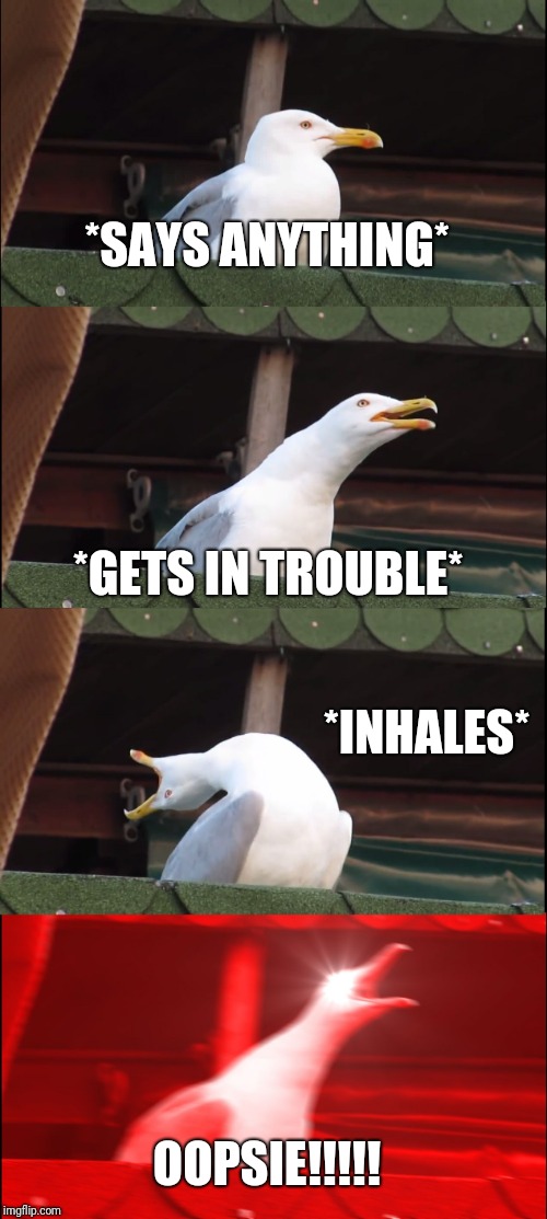 Inhaling Seagull Meme - Imgflip
