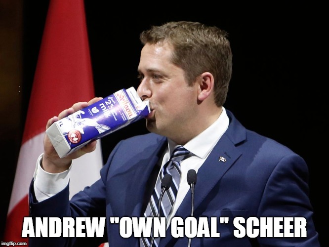 Andrew Scheer drinking milk like a slob - Imgflip