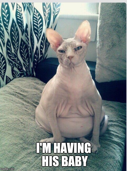 Who’s your daddy - Imgflip