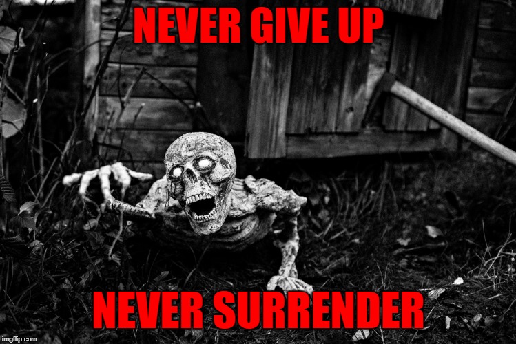 See? That cactus probably has water in it!!! - Imgflip