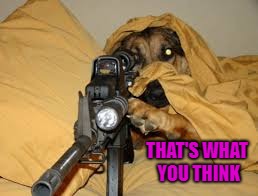 I'll make you squeal like a pig boy!!! (Make sure sound is enabled ...