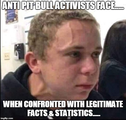 Image tagged in bsl activists - Imgflip