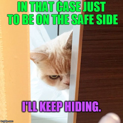 You Know... - Imgflip