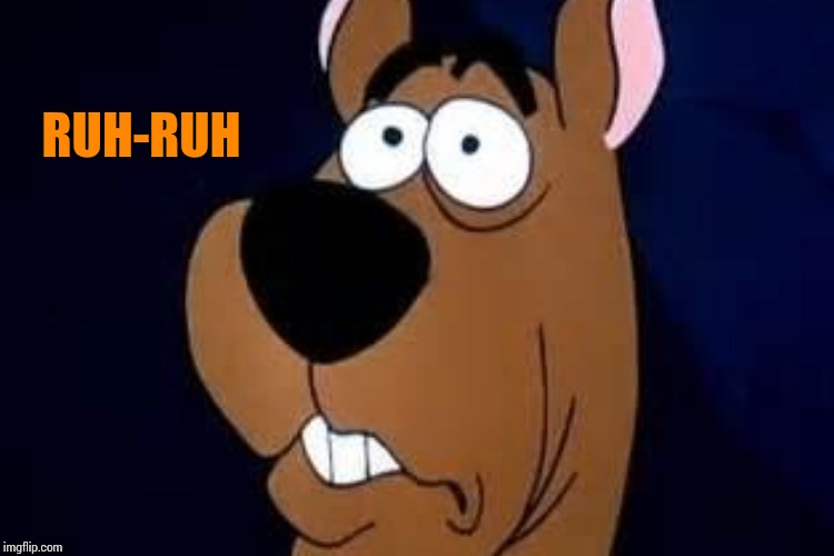 Am I The Only One Around Here Meme - Imgflip