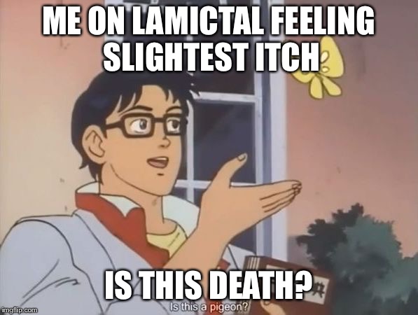 Oblivious anime man butterfly - Imgflip