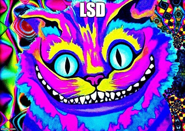 What a way to go! - Imgflip