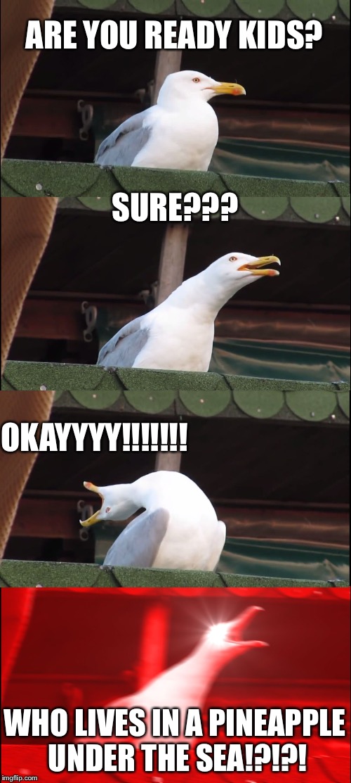 Inhaling Seagull Meme Imgflip