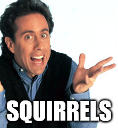 Jerry Seinfeld What's the Deal - Imgflip