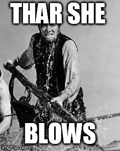 Image tagged in whale - Imgflip