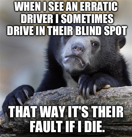 Confession Bear Meme - Imgflip