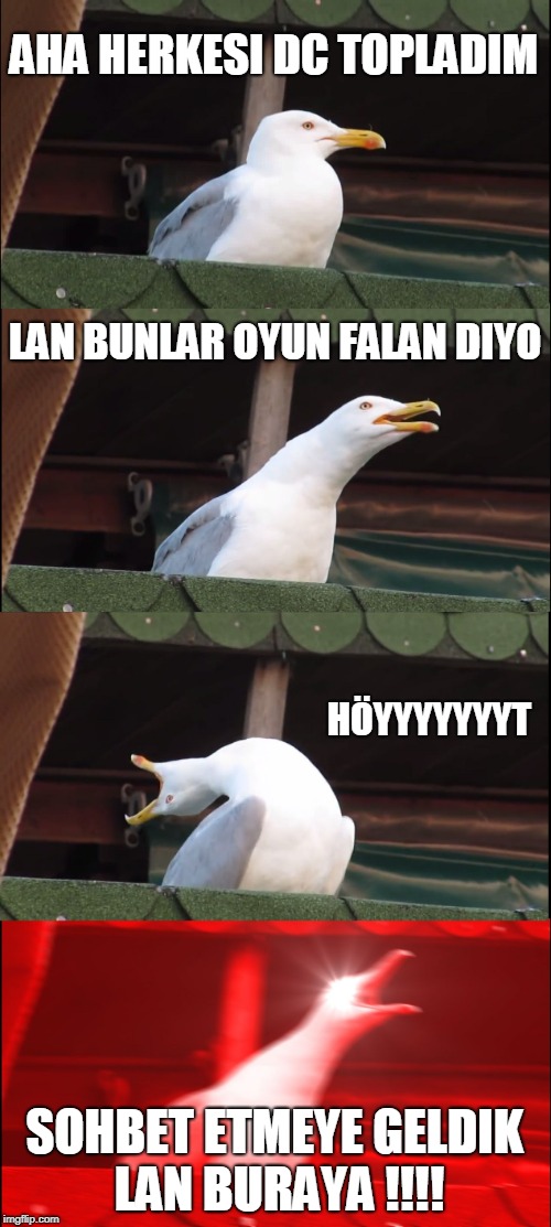 Falan Memes