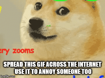 Such gif - Imgflip
