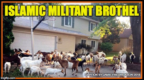 Image tagged in islamic militants are so silly - Imgflip