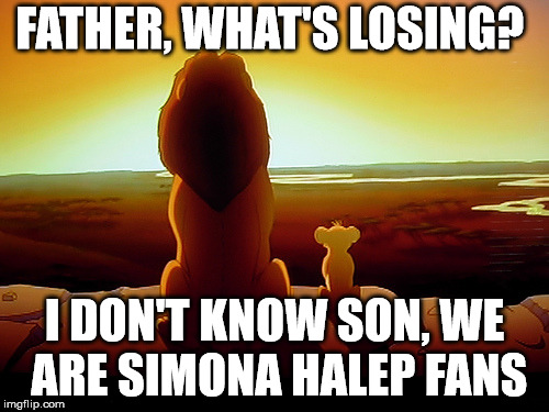 Lion King Meme Imgflip