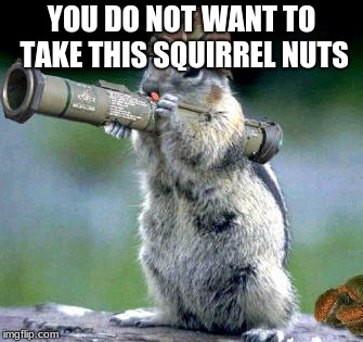 Bazooka Squirrel Meme - Imgflip