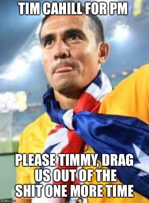 Image tagged in tim cahill - Imgflip