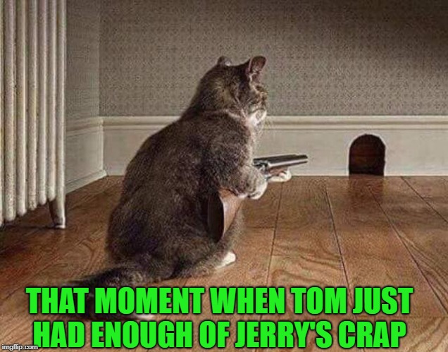 Download Tom And Jerry Meme Gun PNG GIF BASE