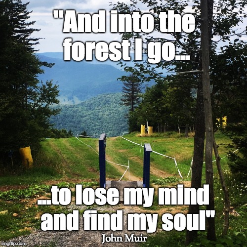 John Muir Memes John Muir Quote: “Between Every Two Pines Is A