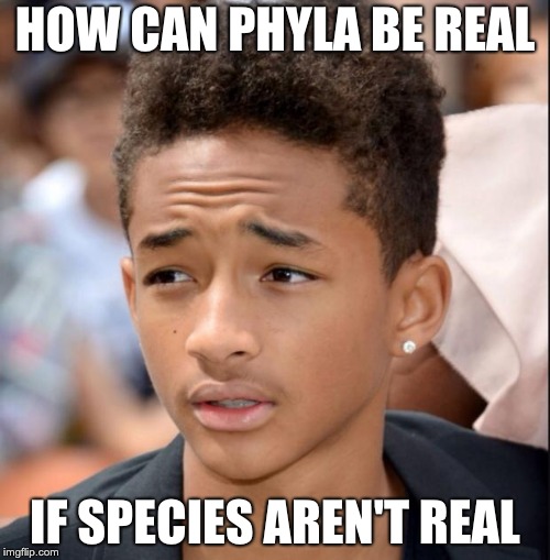 Jaden smith - Imgflip