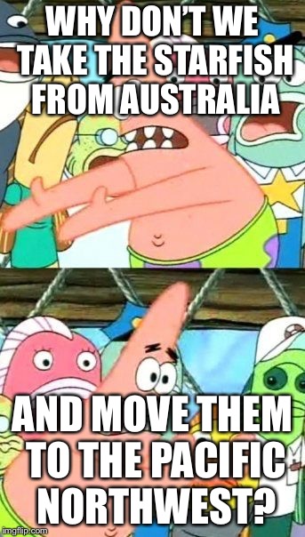 Put It Somewhere Else Patrick Meme - Imgflip