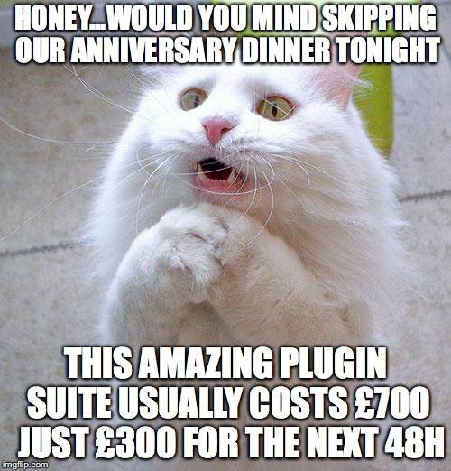 Begging Cat - Imgflip