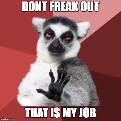 Chill Out Lemur Meme - Imgflip