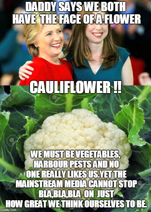 brassicaceae Memes & GIFs - Imgflip