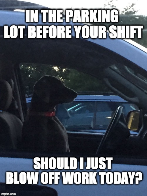 Traffic Dog - Imgflip