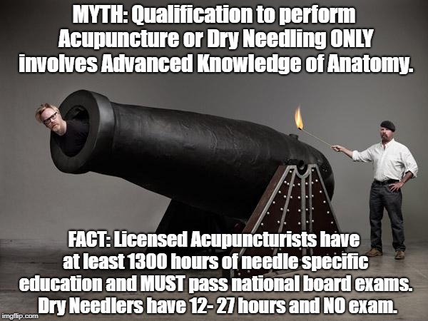 Mythbusterscanon - Imgflip