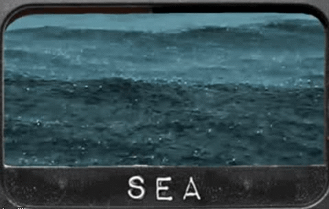 SEA - Imgflip