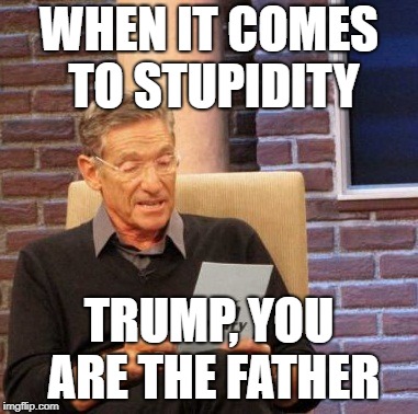 Maury Lie Detector Meme - Imgflip