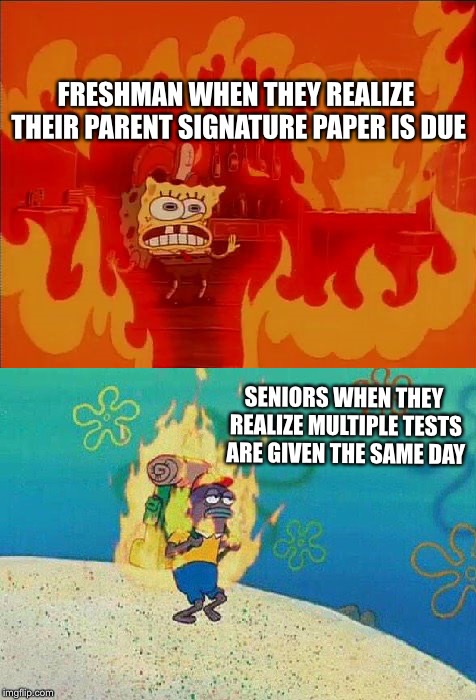 Spongebob Fire Imgflip