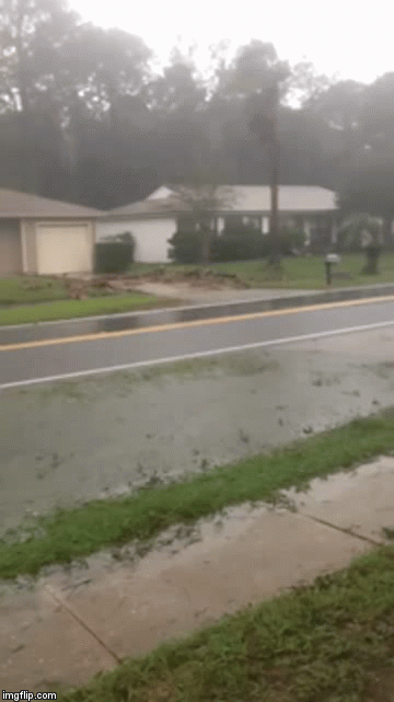 'Murica!!! Young man vs. Hurricane Florence - Imgflip