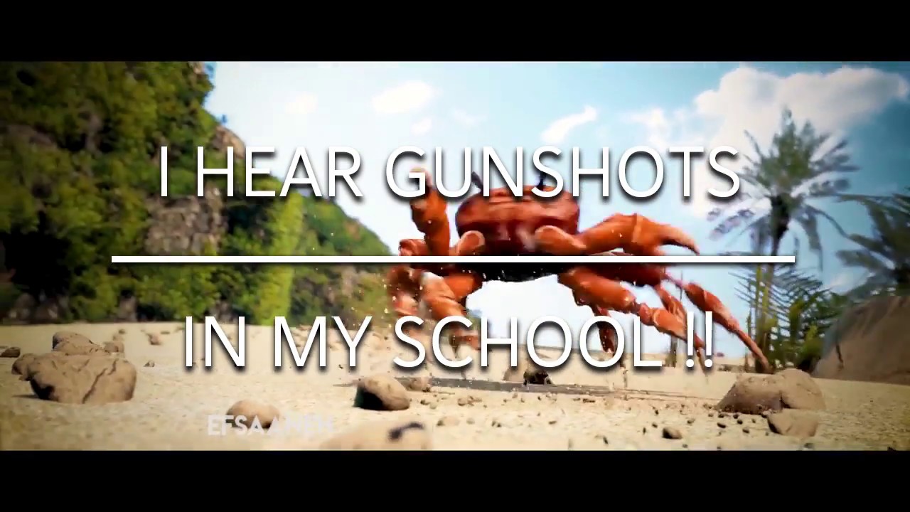  crab Meme Templates Imgflip