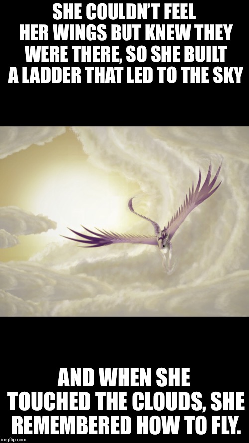 She remembered how to fly! - Imgflip