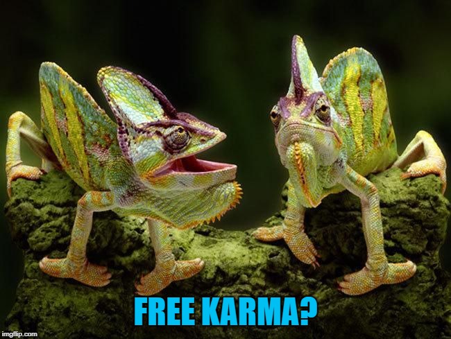 I bought two oven gloves (rock 'n' roll!) but she picked up both and ...