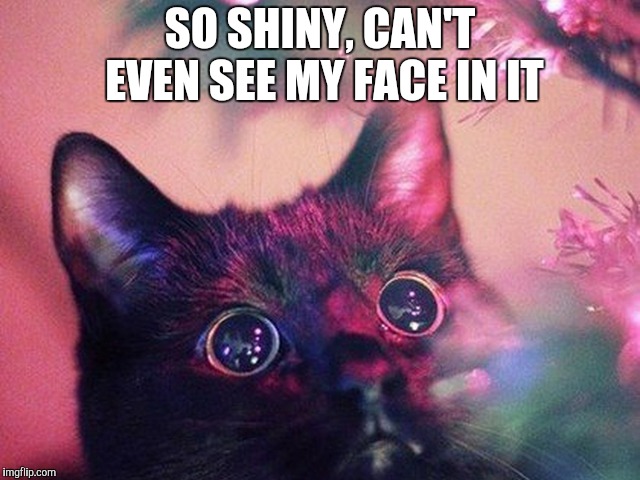 Sometimes he comes here to reflect - Imgflip