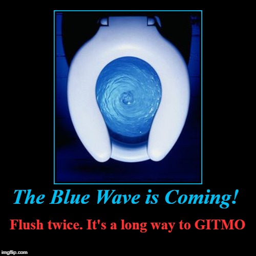 The Blue Wave is Coming! (Flush twice. It's a long way to GITMO) - Imgflip
