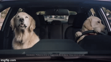 I crashed! - Imgflip