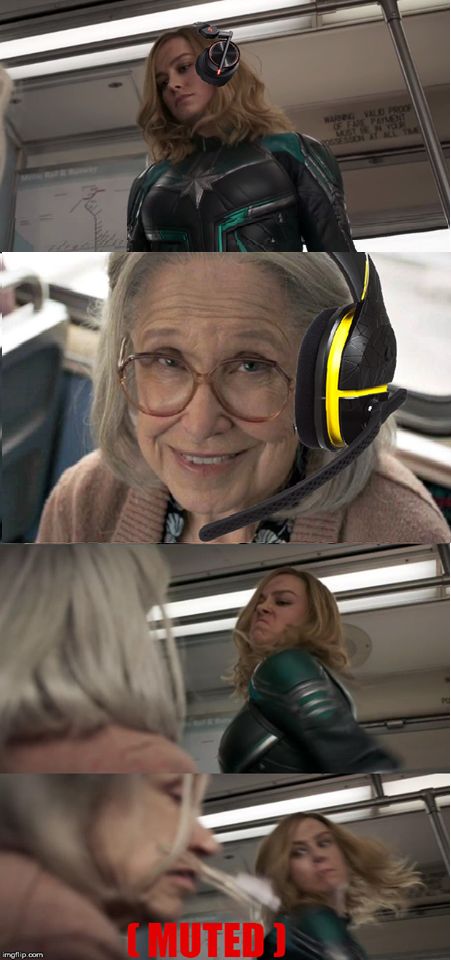  old Lady Meme Templates Imgflip