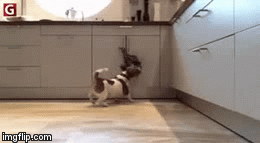 The Best Way - Imgflip